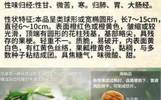 栝楼子的功效与作用_栝楼子怎么吃最好