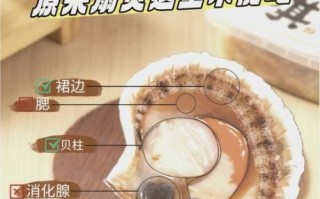 扇贝肉哪里不能吃_图解部位禁忌