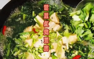 雪里红炖豆腐怎么炖好吃窍门_雪里红炖豆腐的做法步骤