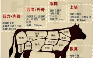 烤牛排用什么部位的肉_哪个部位最嫩