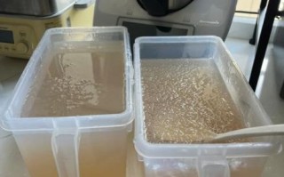 大西米怎么煮_大西米要泡多久