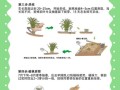 韭菜怎么种_韭菜种植视频教程