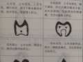 地理穴是什么_地理穴有哪些风水作用