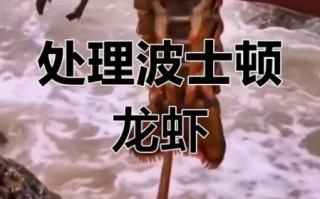 波士顿大龙虾怎么处理_波士顿龙虾清洗步骤