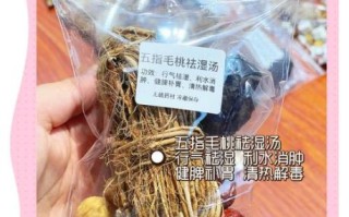 孕妇能喝五指毛桃汤吗_五指毛桃煲汤禁忌