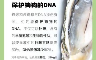 吃生蚝的好处和坏处_生蚝吃多了会怎样