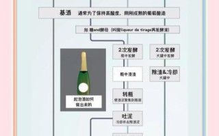 葡萄酒自酿方法_自酿葡萄酒需要哪些材料 葡萄酒自酿方法_自酿葡萄酒需要哪些材料