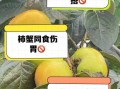 柿子不能和什么一起吃_柿子相克食物有哪些
