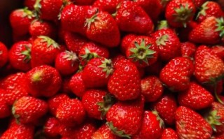 草莓酱ox怎么做_草莓酱ox保存多久