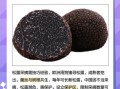 十大最贵蘑菇有哪些_为什么松露价格居高不下