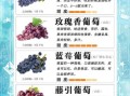 吃葡萄的禁忌_葡萄吃多了有什么副作用