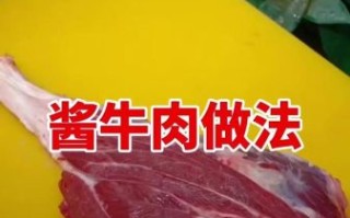 煮牛肉的正确方法调料_牛肉怎么煮才软烂入味