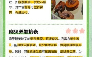 扇贝的营养价值及功效_扇贝怎么吃最营养