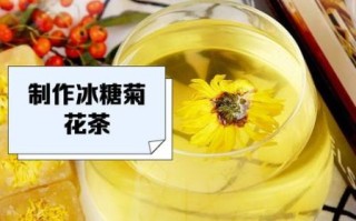 菊花冰糖的功效与作用_菊花冰糖可以天天喝吗