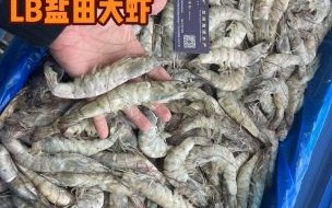 袋装大虾怎么选_袋装大虾保质期多久
