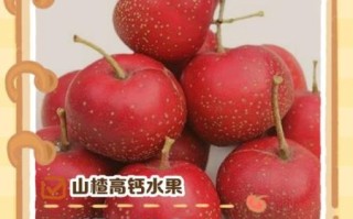 补钙的水果有哪些_吃什么水果补钙最快