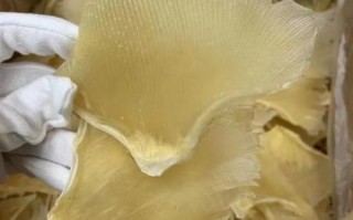 新鲜鱼翅怎么泡发_新鲜鱼翅的家常做法