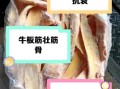 牛板筋的危害有哪些_长期吃牛板筋会致癌吗