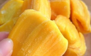 菠萝蜜冷冻一个月还能吃吗_如何解冻不烂