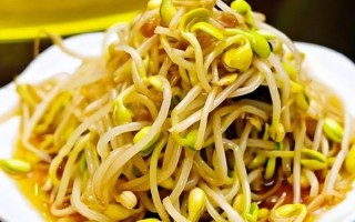 豆芽怎么炒才好吃_豆芽焯水几分钟才脆