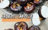 煮荸荠需要多长时间_荸荠煮多久才熟
