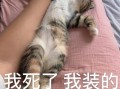 泡芙表情包怎么保存_泡芙表情包出处是哪部番