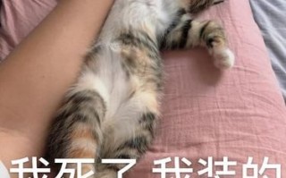 泡芙表情包怎么保存_泡芙表情包出处是哪部番