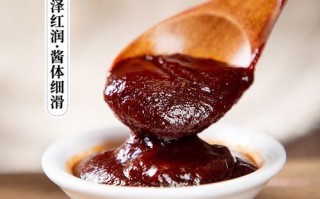 排骨酱可以用什么代替_没有排骨酱怎么办