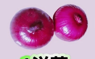 美容养颜吃什么_排毒食物有哪些 美容养颜吃什么_排毒食物有哪些