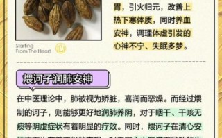 诃子有什么功效_诃子能治哪些病