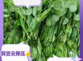 豌豆尖嘌呤高吗_痛风能吃豌豆尖吗