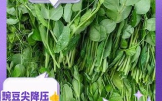 豌豆尖嘌呤高吗_痛风能吃豌豆尖吗
