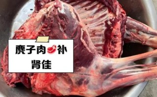 麂子肉怎么烧_麂子肉去腥方法