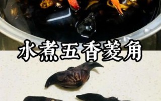 菱角怎么煮_菱角怎么吃
