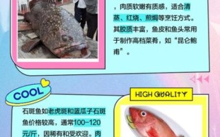 龙趸和石斑鱼有什么区别_哪个更贵