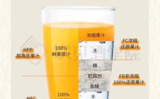 冷饮果汁怎么做_冷饮果汁做法大全