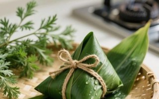 新鲜肉粽子怎么做_粽子糯米泡多久