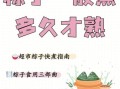 粽子煮多久才熟_粽子冷水煮还是热水煮
