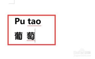葡萄的拼音怎么写_葡萄拼音声调怎么标