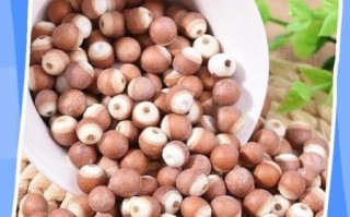 芡实是什么植物的果实_芡实长什么样子