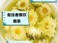 菊花茶对子宫好吗_经期可以喝菊花茶吗
