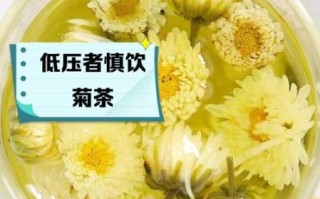 菊花茶对子宫好吗_经期可以喝菊花茶吗