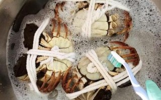 螃蟹怎么洗干净_活螃蟹清洗步骤