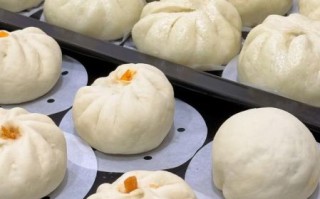 腐乳肉包子馅怎么做才松软多汁_腐乳肉包子馅的调味比例是多少