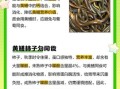 黄鳝吃什么长得快_黄鳝饲料配方大全