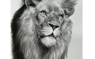 霸气狮子头绘画教程_如何画出立体感