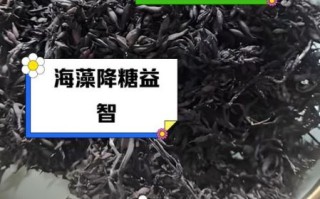 海藻的功效与作用有哪些_海藻主治什么病