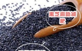 黑芝麻每天吃多少克合适_黑芝麻过量危害