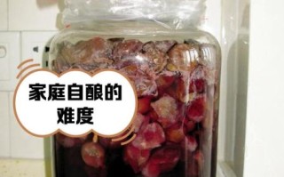 自酿葡萄酒能放多久_如何延长保质期
