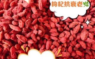 枸杞子补什么_枸杞子是补什么的